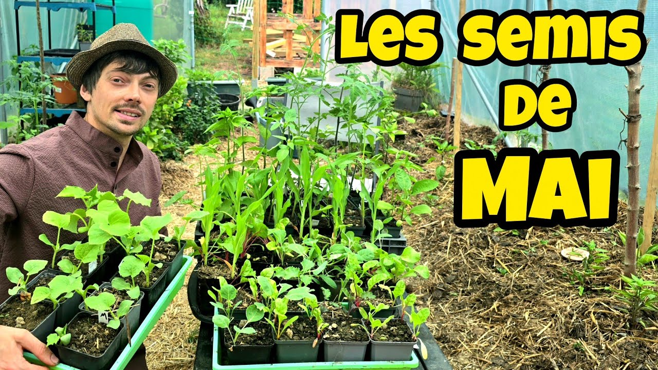 Mai le MEILLEUR mois pour ces 7 SEMIS au potager