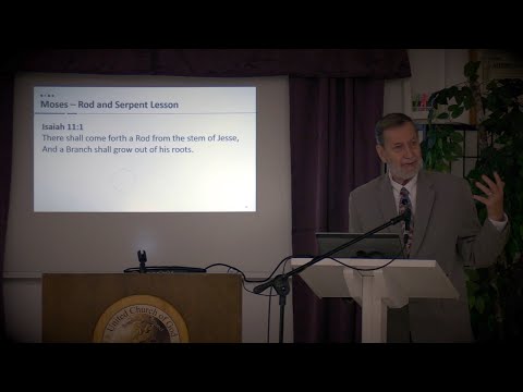 Dragons and Serpents in the Bible, by Tim Martens