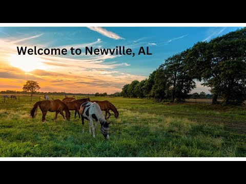 MOVE TO ALABAMA Farm for Sale Newville AL. 285 County Rd. 151 Newville, AL