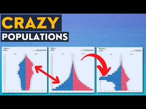 The World’s Craziest Population Pyramids | Transition Studies