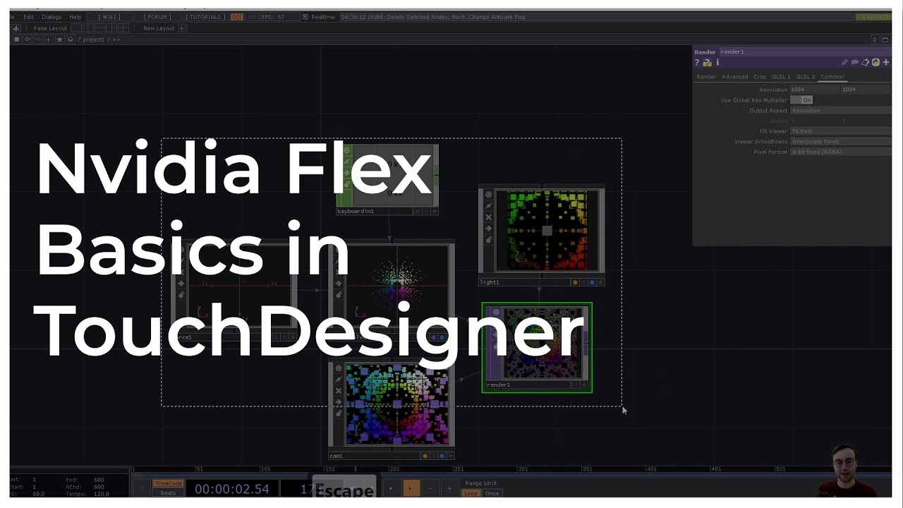 Nvidia Flex Basics in TouchDesigner - TouchDesigner Tutorial 073