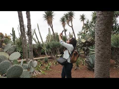 Une femme prend des photos dans un jardin botanique. Sans musique, (Libre de Droits)
