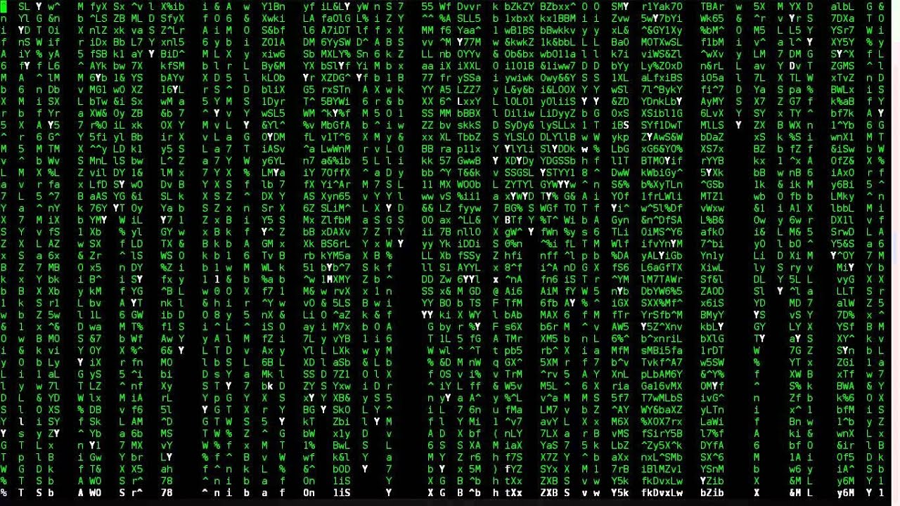 Unix Terminal Environment Variables