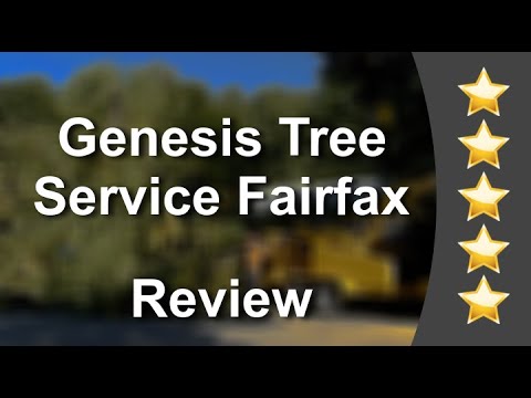Genesis Tree Service Fairfax - Free Quotes - Tree Trimming