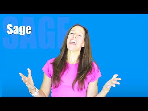Learn to Spell SAGE Toddler Song | Learn to Talk with Patty Shukla
