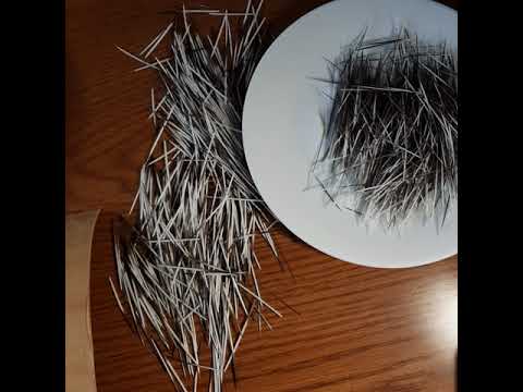 Porcupine Quills and Quillart on Birch Bark