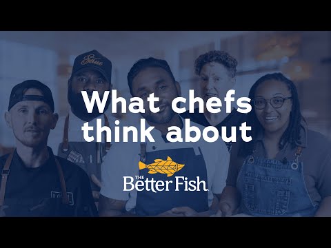 What Chefs Think of The Better Fish® Barramundi
