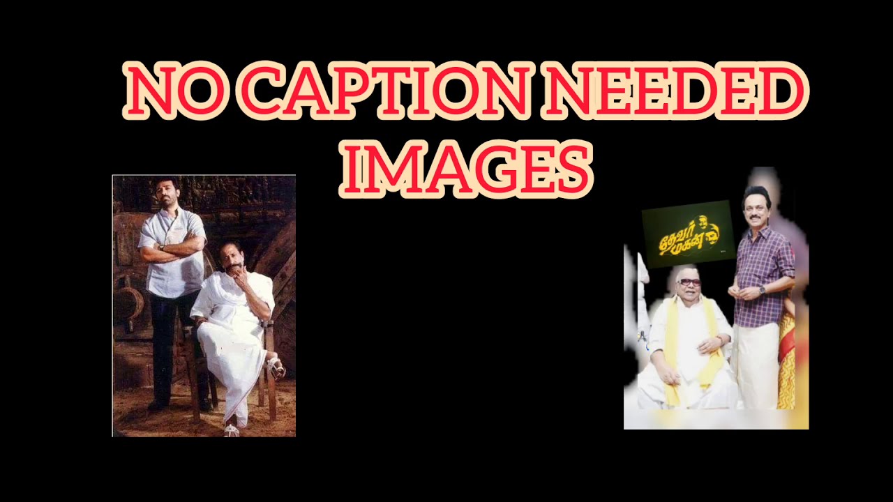 No Caption Needed Images