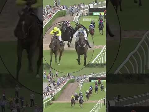 Controversy as dead-heat is overturned! #horseracing