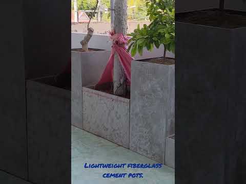 Unique modern lightweight cement planter #Shorts