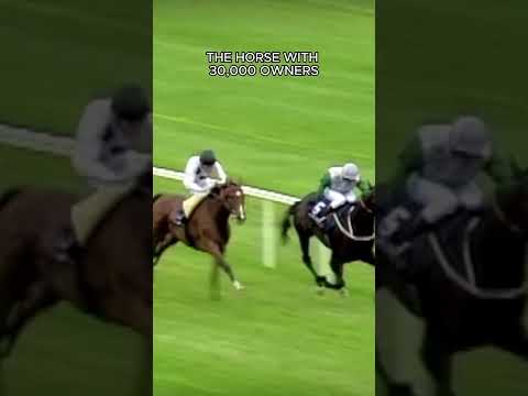 The horse on song for 30,000 of her owners... 👇#icf
