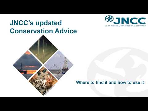 JNCC updated Offshore MPA Conservation Advice