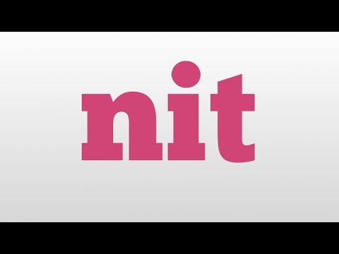 nit meaning and pronunciation