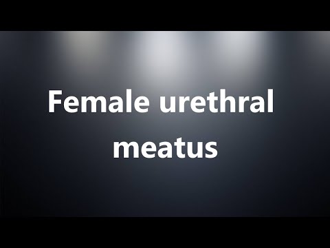 Female urethral meatus - Medical Definition and Pronunciation