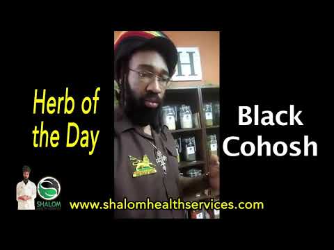 Herb of the Day Black Cohosh