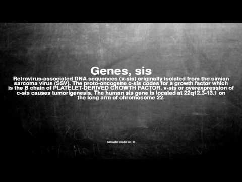 Medical vocabulary: What does Genes, sis mean
