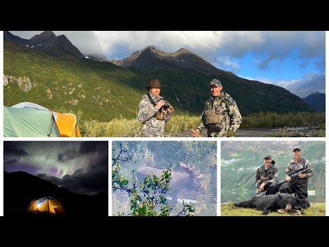 Alaska Moose Adventure 2024