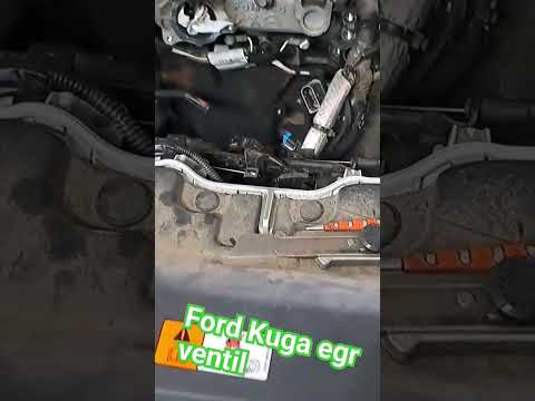 ford kuga egr