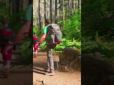 I should’ve bought trekking poles sooner
