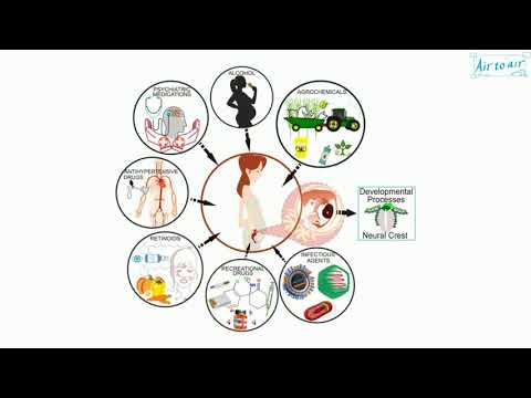 teratogen