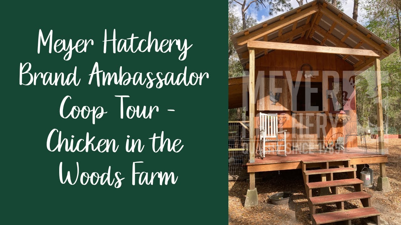 Meyer Hatchery Brand Ambassador Coop Tour - Chicken in the Woods Farm!