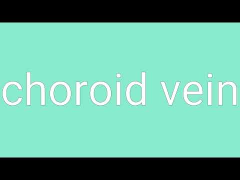 Choroid Vein Definition & Meaning