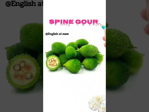 spine gourd meaning in hindi| hindi kya matlab hota hai|daily use english words in hindi|#viral