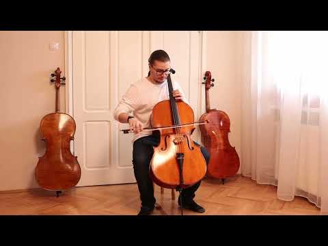 One Piece Back Montagnana Cello 4/4 – Hand-Made in Europe | Reverb UK