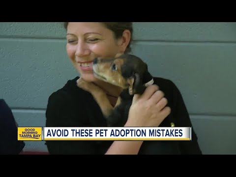 Local animal shelters waiving adoption fees this weekend