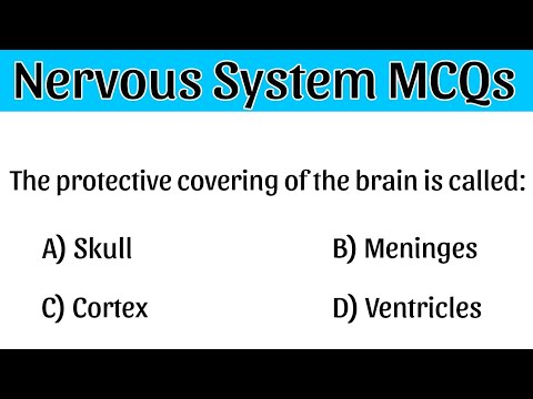 Nervous System MCQs | nervous system questions