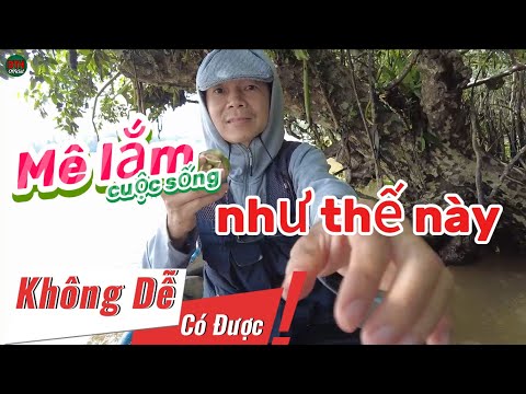 Để Được Cuộc Sống như DTH thế này: Nói Thật KHÔNG PHẢI DỄ Đâu! Ý Bạn Thì Sao?