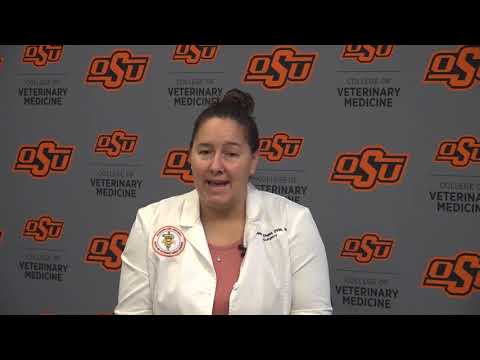 Dr. Danielle Dugat on INTERACT