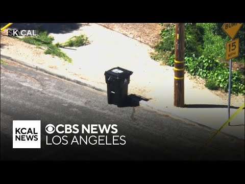 LA County Medical Examiner identifies body found inside trash can