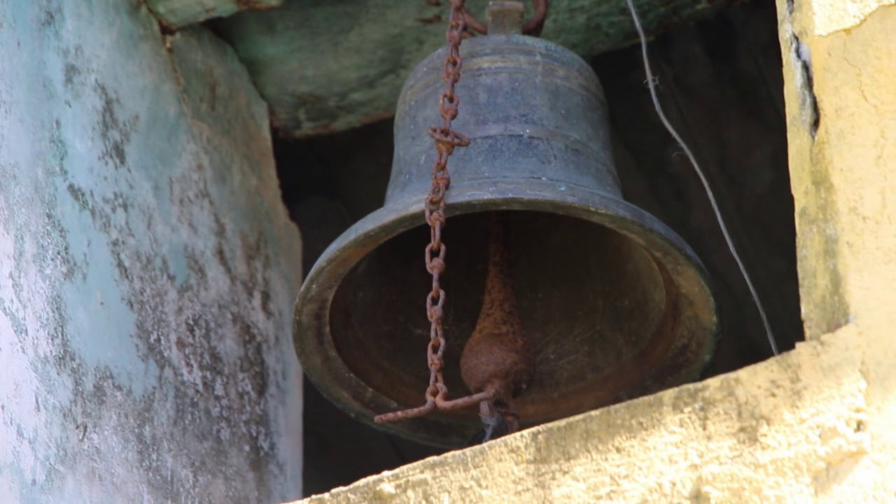 Visitando El Palmar, Buena Vista