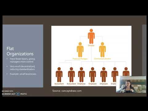 Tall and Flat Organizational Structure: Intro to Business