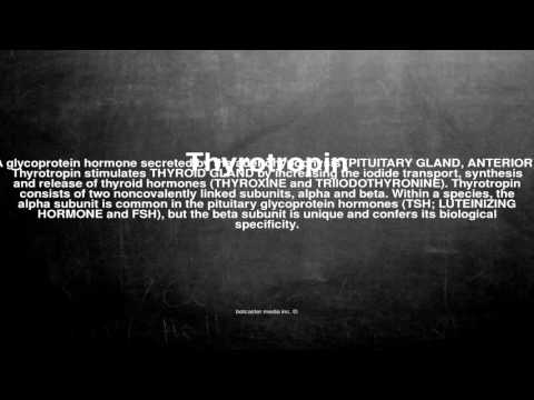 Medical vocabulary: What does Thyrotropin mean