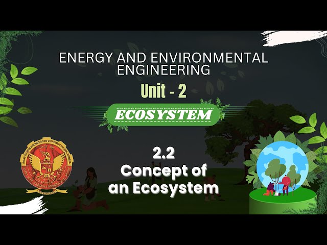 Understanding the Concept of Ecosystems: A Comprehensive Overview ...