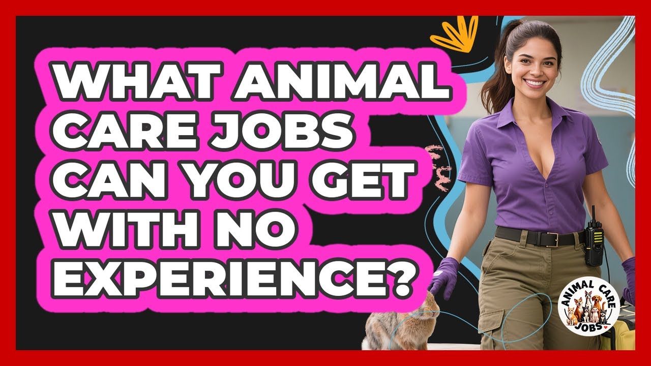 What Animal Care Jobs Can You Get With No Experience? - Animal Care Jobs