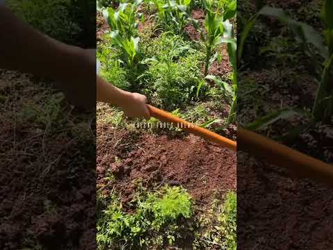 Garden Spades - Spade Tool Latest Price, Manufacturers & Suppliers