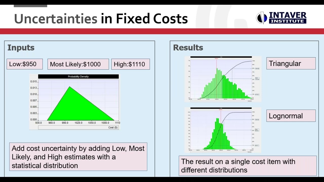 Cost Risk Analysis With RiskyProject