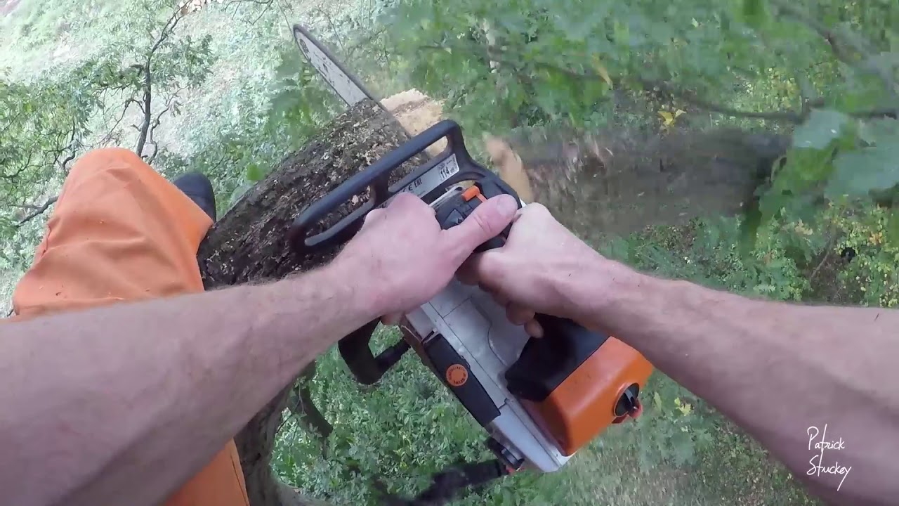 Nature First Tree Surgery