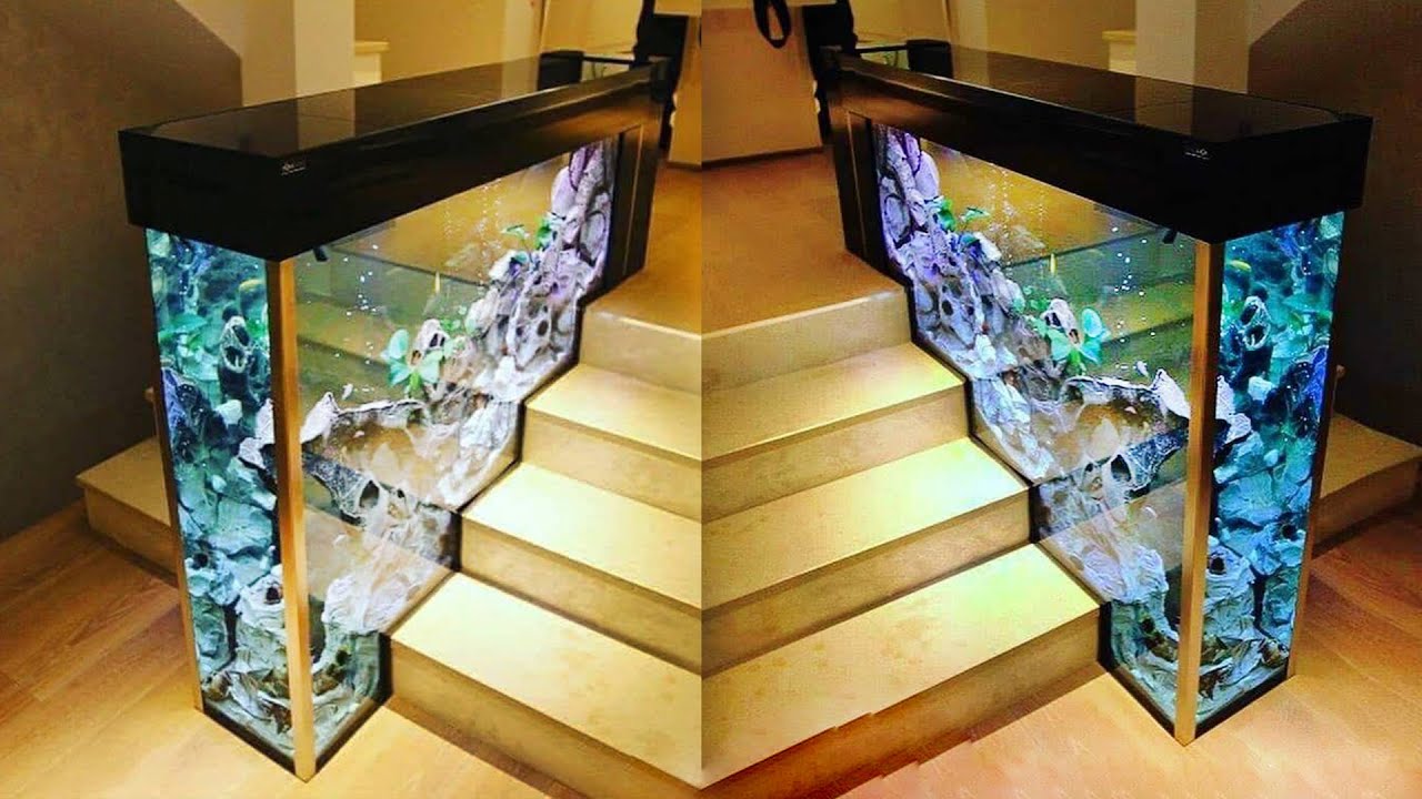 15 NEXT LEVEL Aquariums and Fish Tanks