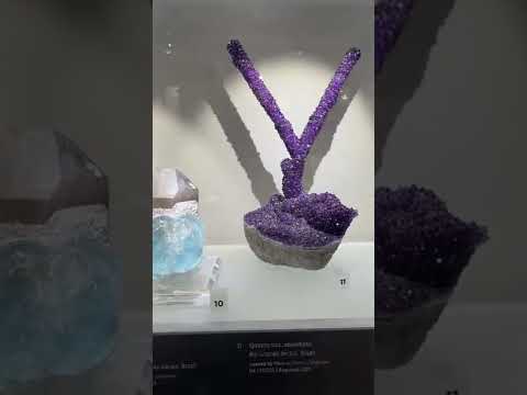 The pegmatite mineral display at the Alfie Norville Mineral Museum in Tucson.