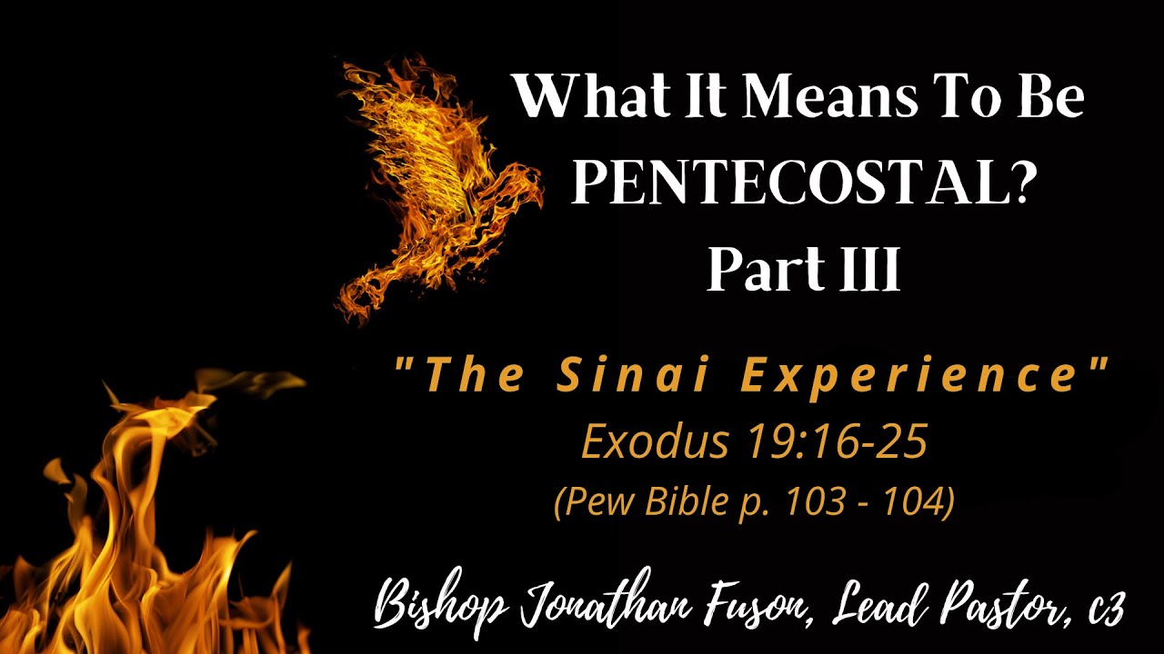 Walk Through the Bible: 