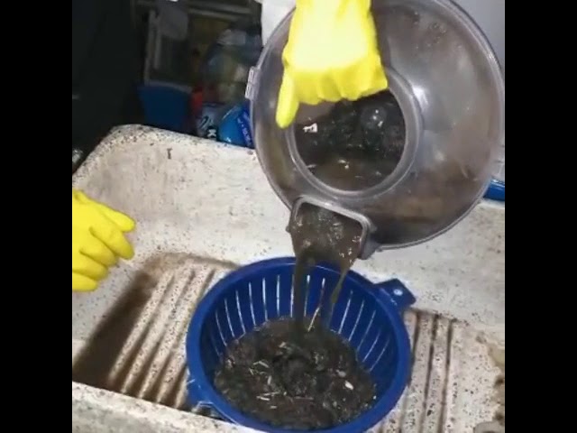 CleanTox – Servicios de limpieza profunda