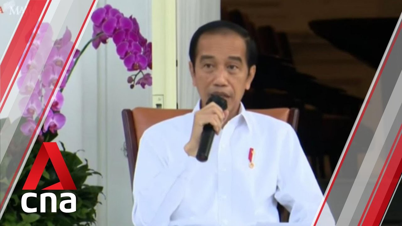 Indonesian President Joko Widodo replaces six ministers in Cabinet reshuffle