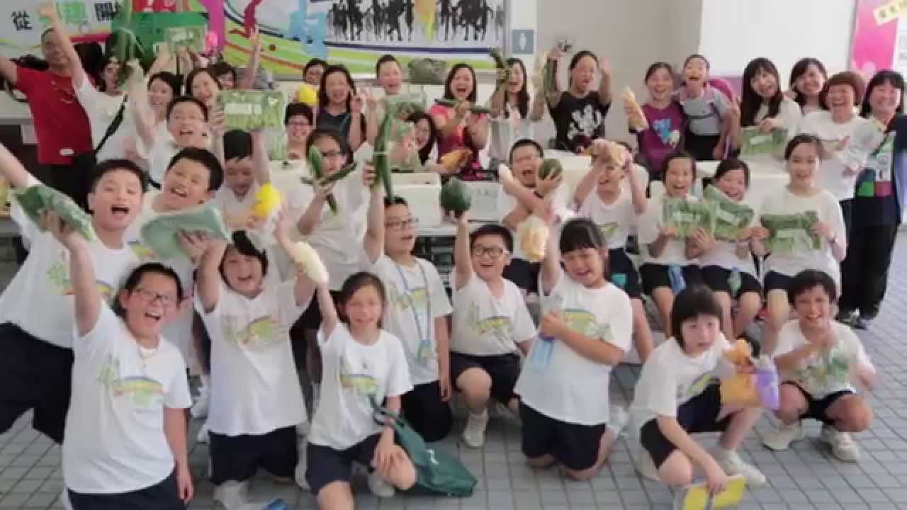The Loop Program Reconnect