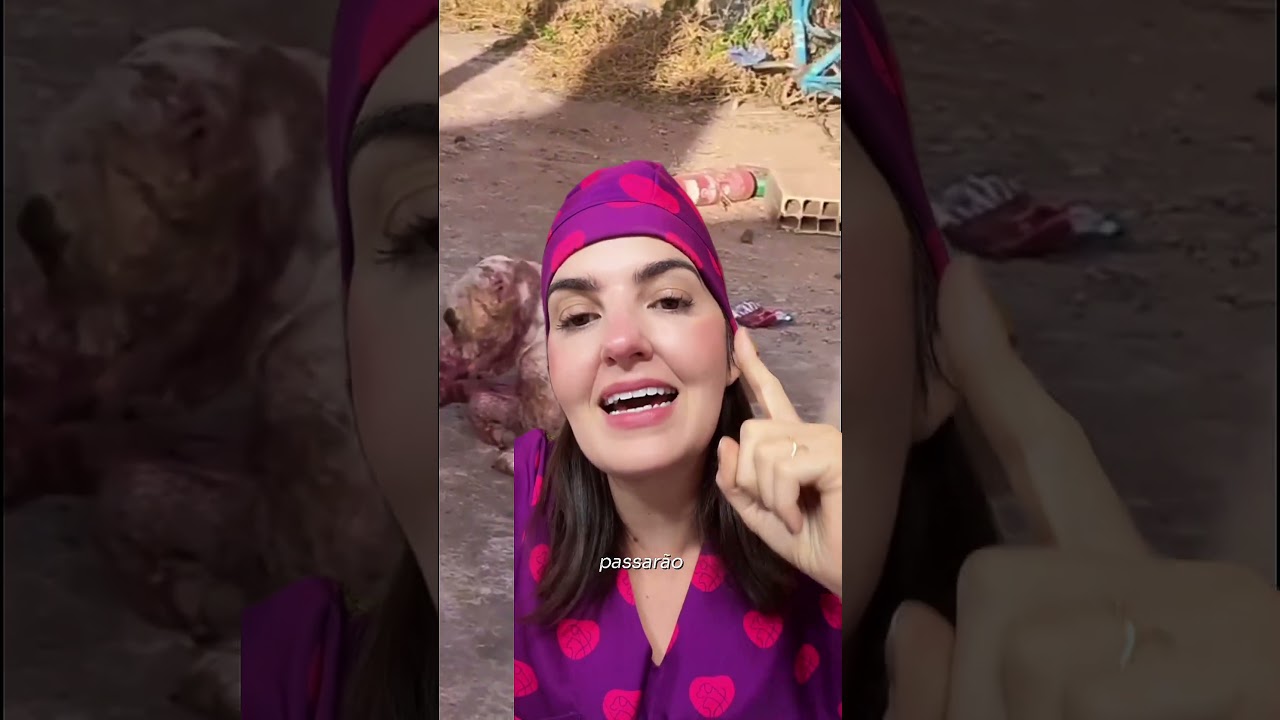 Carro manual VS Carro automático  #veterinaria #vetreal