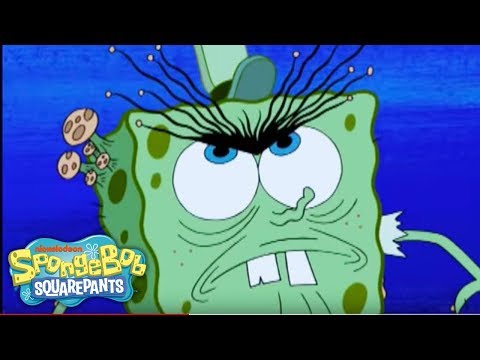 spongebob – Spongebob