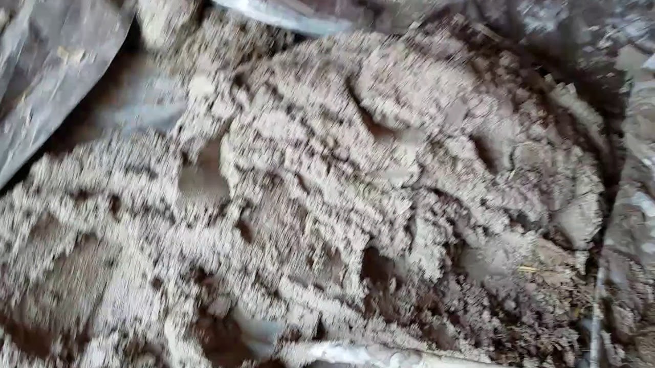 Clay plaster prep for Strawbale walls